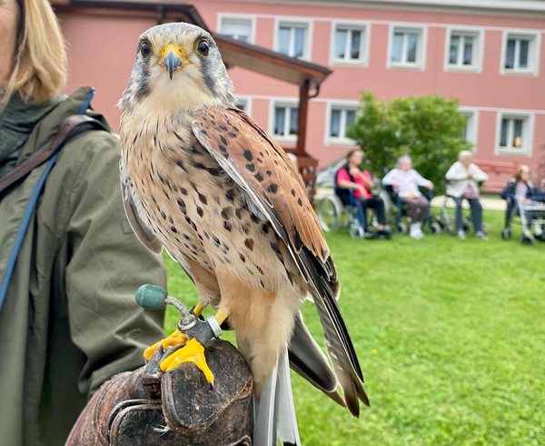 Domov pro seniory Kobylisy